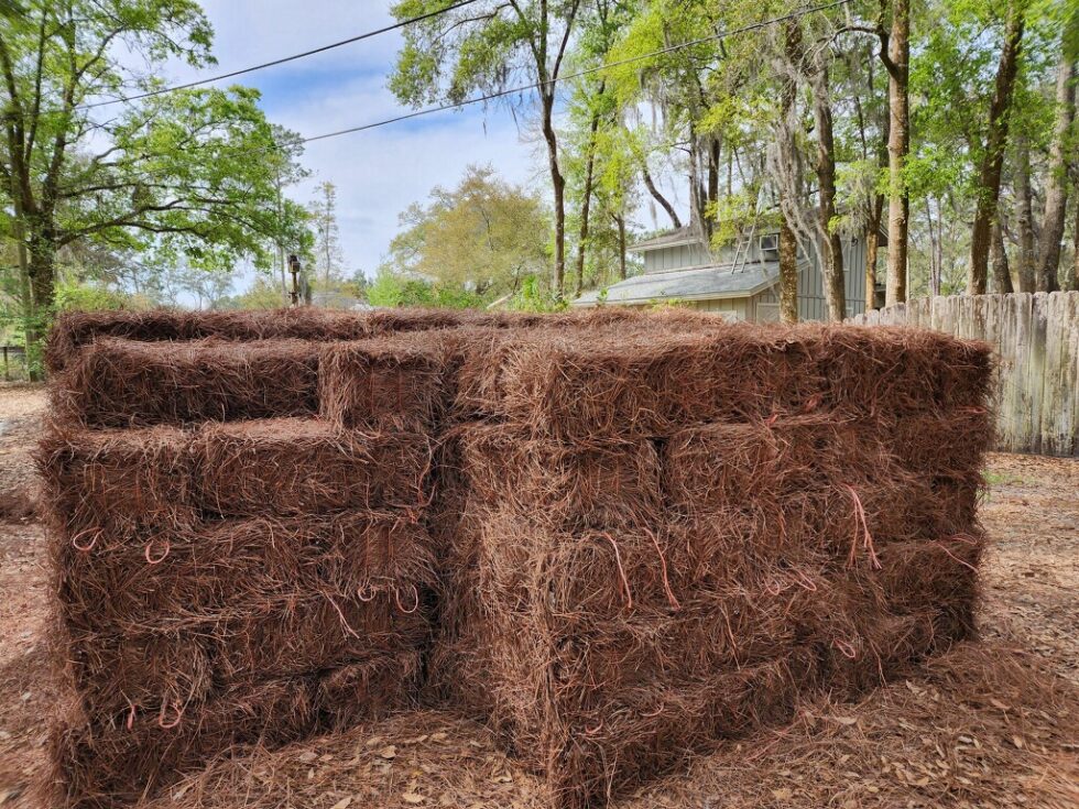 Jax Pine Straw Guy | NE Florida Pine Straw Supply